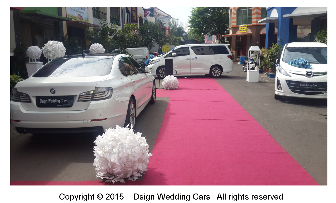 Dsign Wedding Car