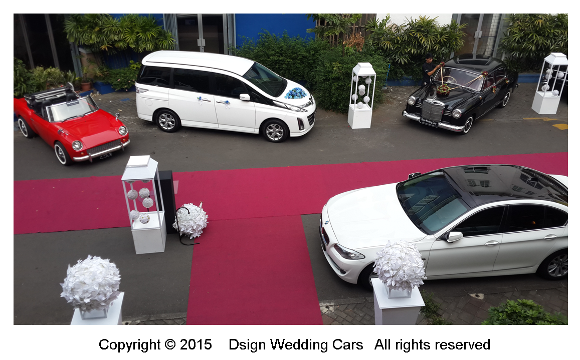 Dsign Wedding Car